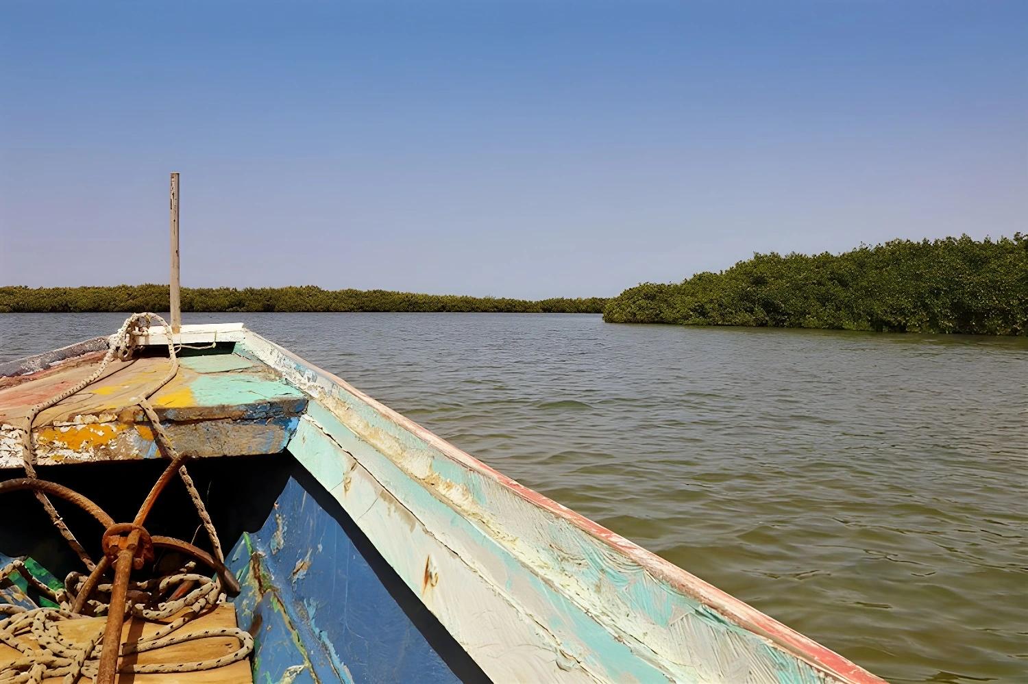 Siné Saloum : explorez le joyau secret du Sénégal