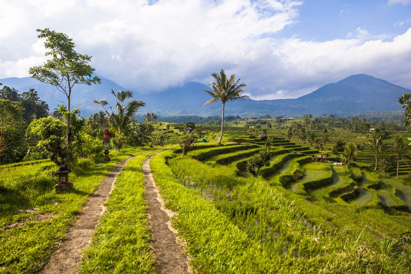 Itinéraire Bali : Guide complet pour 1, 2 et 3 semaines