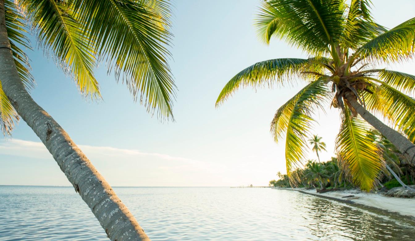 Tobacco Caye Belize : Guide de l'île paradisiaque